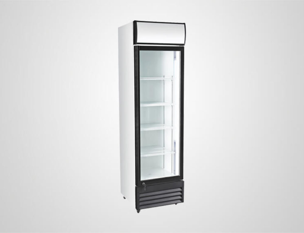 Upright Display Chiller for Drinks and Food | Procool