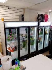 Floral Cooler Fridge in 1 2 3 Doors for Flower Storage Display & Promotion