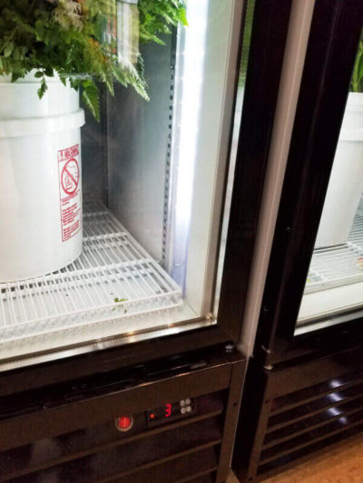 Floral Cooler Fridge in 1 2 3 Doors for Flower Storage Display & Promotion