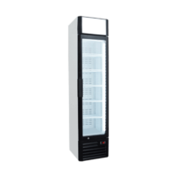 Upright Freezer with Glass Door for Frozen Food | Procool