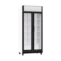 Double Glass Door Fridge for Food & Drink Display | Procool