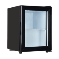 Glass Door Mini Cooler Fridge for Beer and Beverage | Procool