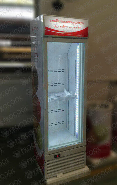 Upright Freezer with Glass Door for Frozen Food | Procool